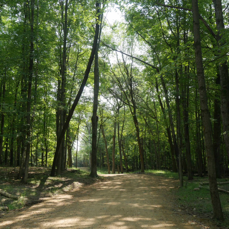 Better Place Forests | LocalTies Media | Medina & Twin Cities West ...