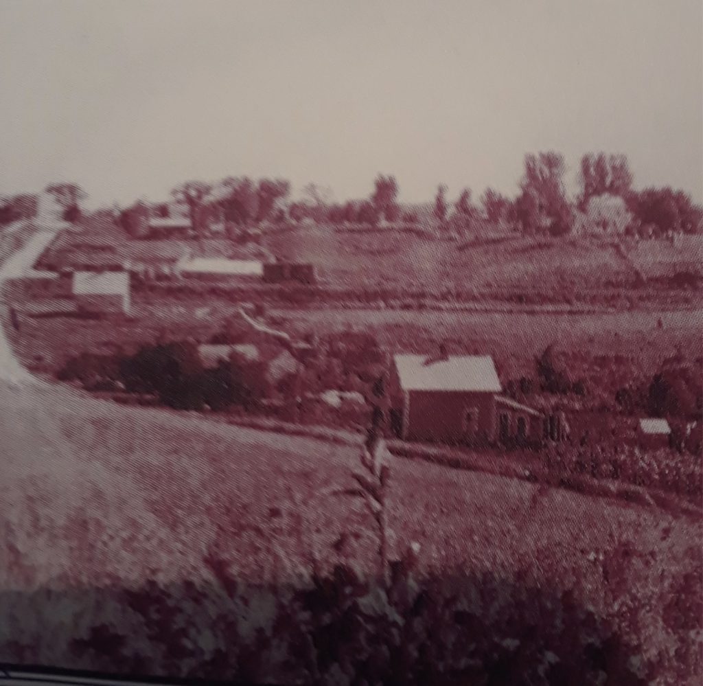 The Beginnings of Hamel, Minnesota | LocalTies Media | Medina & Twin ...